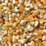 Maize - Whole & Kibbled – AgVision Limited